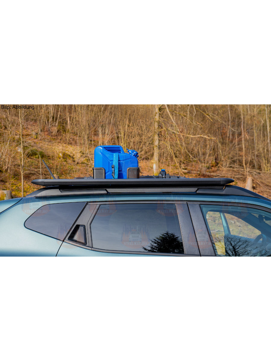 Portbagaj Duster 3 Rhino Rack Pioneer6, cu prinderi directe pe barele ...